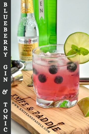 Blueberry Gin and Tonic • www.knifeandpaddle.com